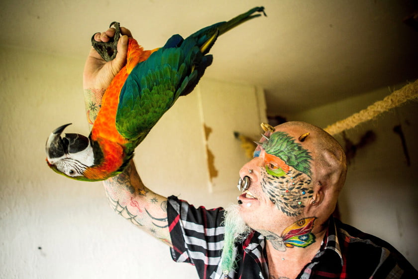 Ted Richards Parrot Man l'uomo che vuole diventare un pappagallo ...